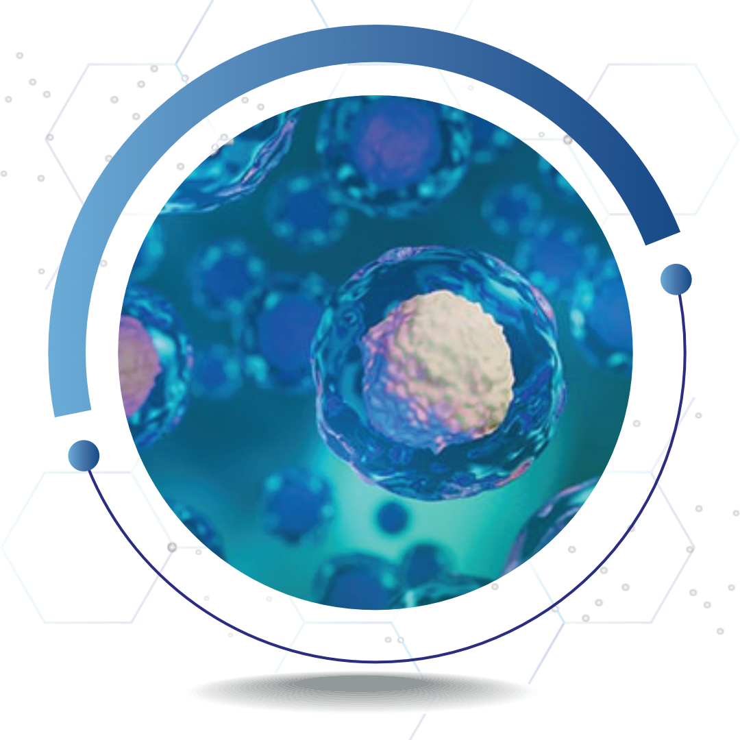 ADULT STEM CELLS – South African Stem Cell Institute